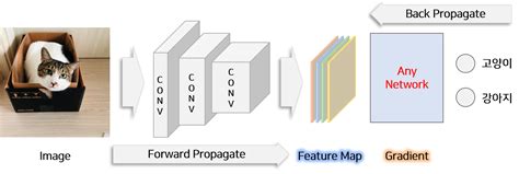 논문분석 Grad Cam Visual Explanations From Deep Networks Via Gradient Based Localization Iccv