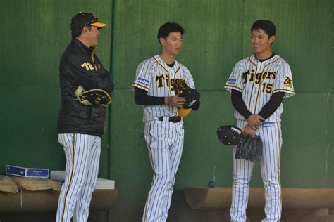 阪神1位西純矢「良い感じ」3位及川と変化球解禁 プロ野球写真ニュース 日刊スポーツ