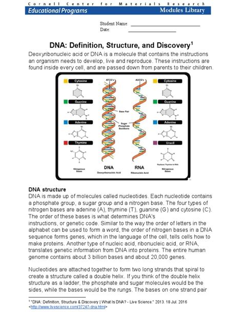 Dna Definition Structure And Discovery Pdf Nucleic Acid Sequence