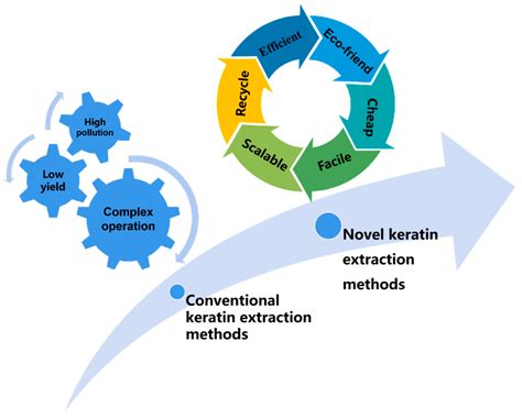 Preparation Methods And Functional Characteristics Of Regenerated Keratin Based Biofilms