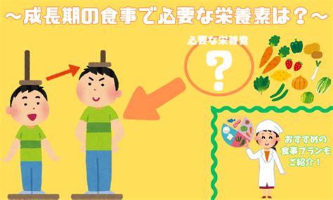 食事｜クックリィ｜（食と「食の仕事」情報サイト） 名阪食品