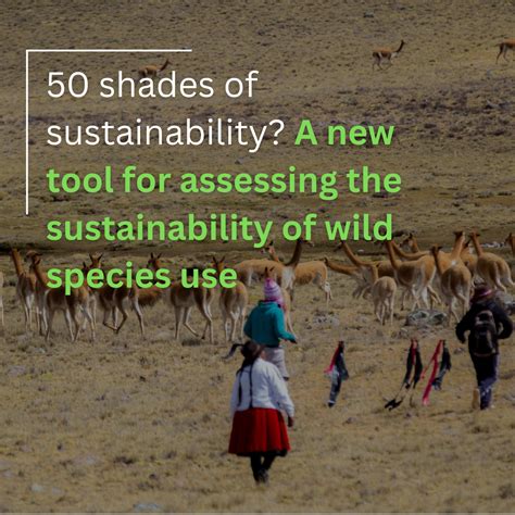 5 Dimensional Sustainability Assessment Framework — Sustainable Use And Livelihoods Specialist Group