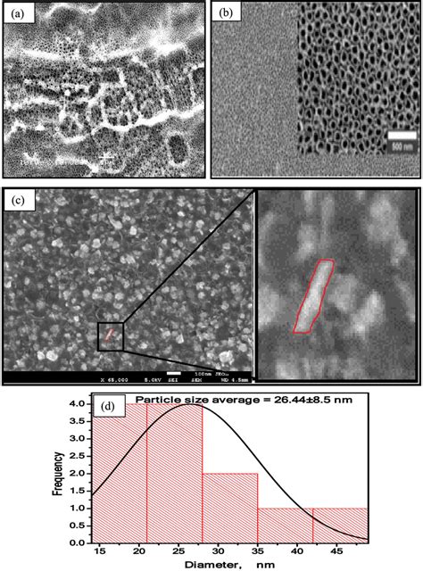 A Sem Image Of Tio2 Nts B Sem Image Of Anodized Tio2 Nts [³⁵] C