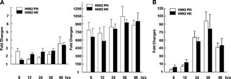 Induction Of Ifns And Ifn Inducible Genes In Apically Differentiated