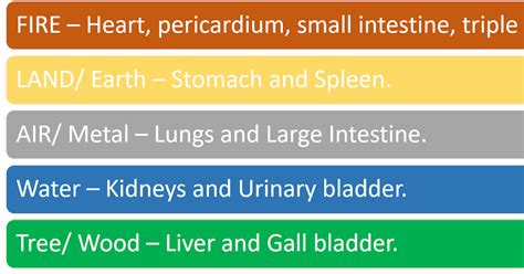 Elements And Organs