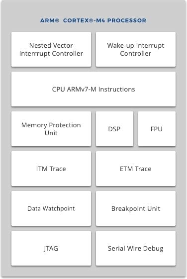 Components Of Synergy Mcus Renesas
