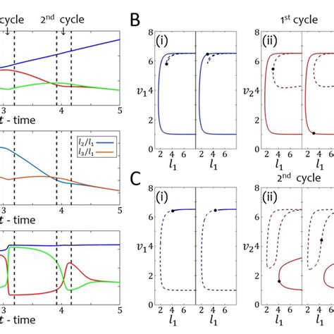 Oscillation Analysis Of The Symmetric Case A Time Series Of The I