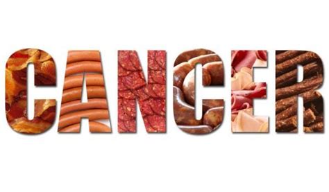 Son Seguros Los Alimentos Navetsa