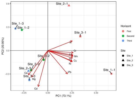 Principal Component Analyzes Pca Of Two First Principal Components