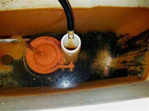 Well Water Orange With Iron How Toilet Tanks Turning Black Inside