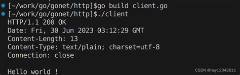 go语言net模块tcp和udp编程实践 go net csdn博客