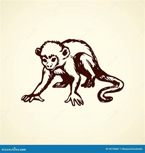 Chimpanzee Vector Illustration Stock Vector Illustration Of Line