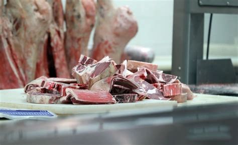 16 компани нөөцийн махны бүрдүүлэлтийг 100 хувь хангажээ