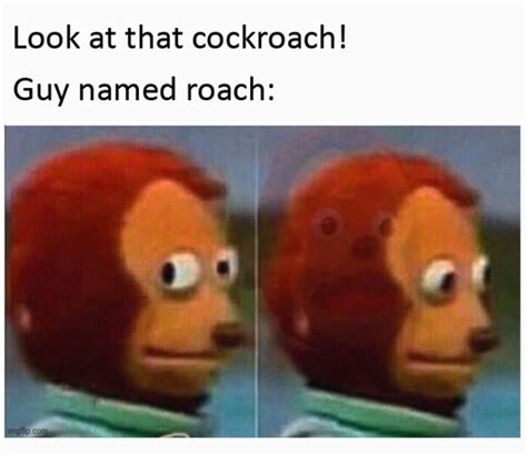 Nice Cockroach Rmemes