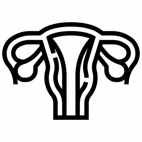 Female Gynaecology Organ Pregnancy Uterus Icon Download On Iconfinder