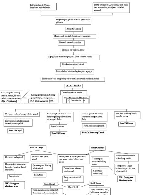 Woc Urolithiasis Pdf