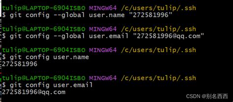 Git Github Gitee Csdn