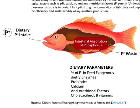Dietary Factors Affecting Phosphorus Waste Of Farmed Fish 20646567