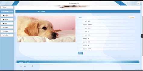 Ssm流浪猫救助平台程序开题 Csdn博客