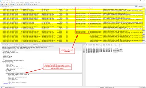 Dns Capture Udp Tcp Ip Fragmentation Edns Ecs Cookie