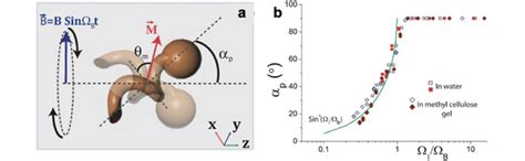 A Schematic Representation Of A Helical Nanoscale Probe With Permanent Download Scientific