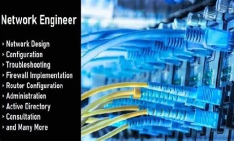 provide expert level services for cisco telephony routing switching