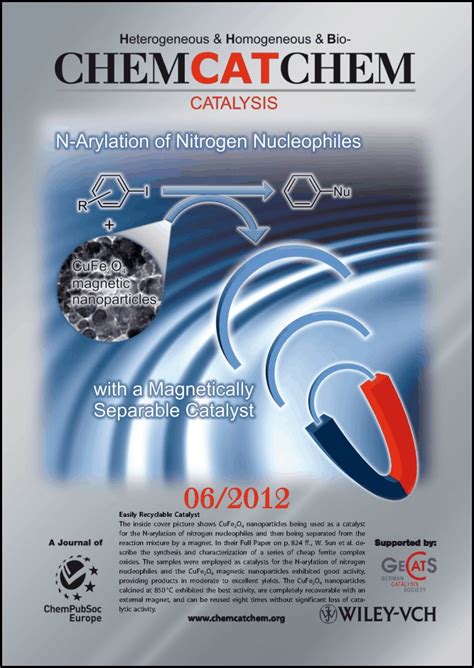 Inside Cover Magnetic Nanoparticles Of Ferrite Complex Oxides A Cheap Efficient Recyclable