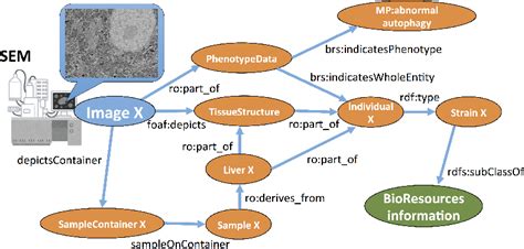figure 1 from development of an ontology for an integrated image analysis platform to enable