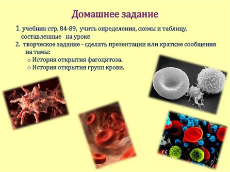 Из каких компонентов состоит внутренняя среда организма презентация онлайн