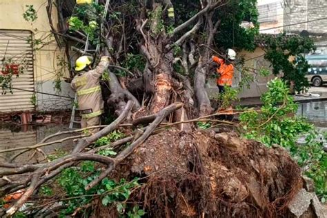 Ecuador Guayaquil Amanece Inundado Tras Intensa Lluvia De 8 Horas