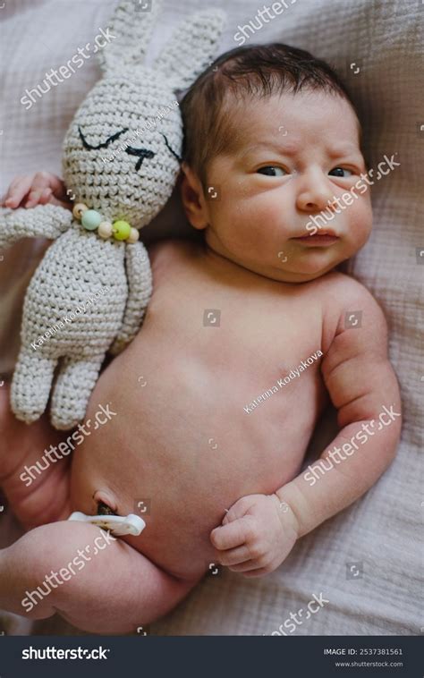 Portrait Newborn Baby Naked Without Clothes Stock Photo 2537381561