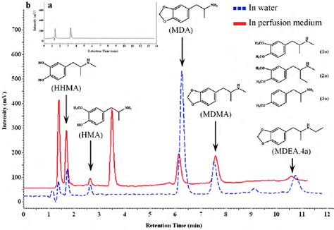 A The Hplcfl Chromatogram Of The Blank Perfusion Medium Which Was