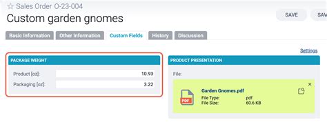 10 Custom Templates RAYNET CRM Basics And Tutorials