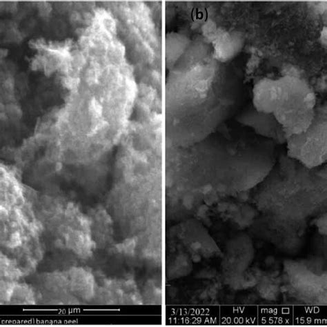 Sem Results Of Raw Banana Peel A And Activated Banana Peel B