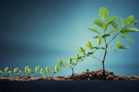 Accelerate Growth With Genai Accelerated Innovation