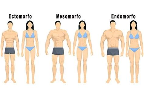 Mesomorfo o que é como saber dicas e ficha de treino