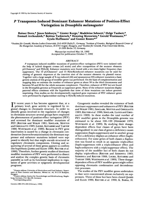 Pdf P Transposon Induced Dominant Enhancer Mutations Of Position