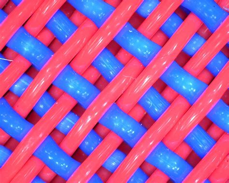 Magnification Examples — Dino Lite Digital Microscope Americas