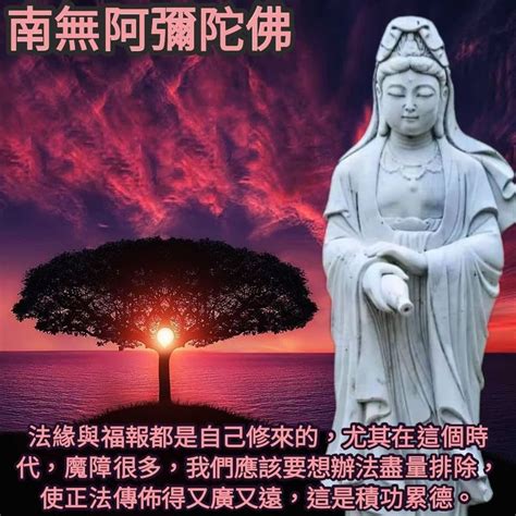 淨空法師慈悲開示 Movie Posters Poster Art