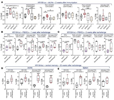 Immunophenotyping Of Ttfields Induced Antitumor Immunity In The Kr158 Download Scientific