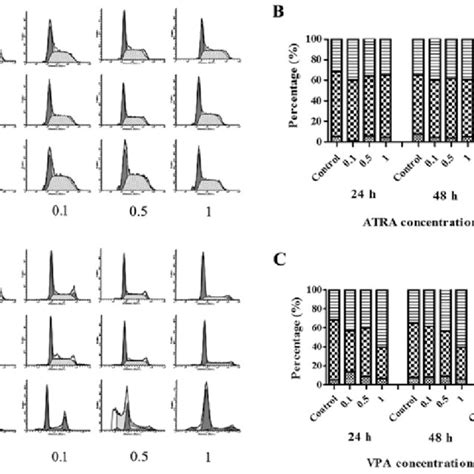 Influence Of Atra And Vpa Alone On Hl 60 Cell Cycle Distribution Hl 60