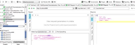 Themes Of My Neuroprocessor API Status Code Assertions