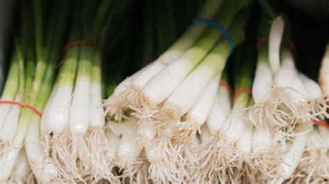How To Grow Scallions Home Cultivation Guide The Garden