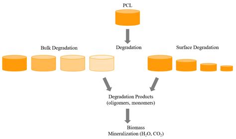 Polycaprolactone Compositesblends And Their Applications Especially In Water Treatment