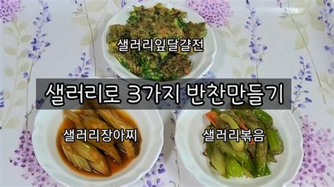 샐러리로 3가지 반찬만들기 샐러리장아찌 샐러리볶음 샐러리잎달걀전 Youtube