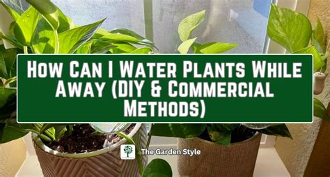 How Can I Water Plants While Away Diy And Commercial Methods The