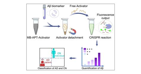 Crispr Powered Aptasensor For Diagnostics Of Alzheimers Disease Acs Sensors