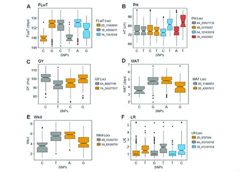 Effects Of The Selected Significant Alleles For Flowering Time Ft