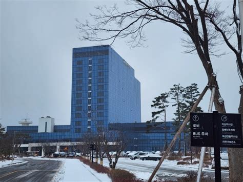 호텔탑스텐강릉호텔디럭스패밀리더블룸내돈내산후기 네이버 블로그
