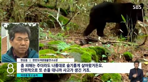 지리산에 방사한 곰 펨코식 근황 유머 움짤 이슈 에펨코리아